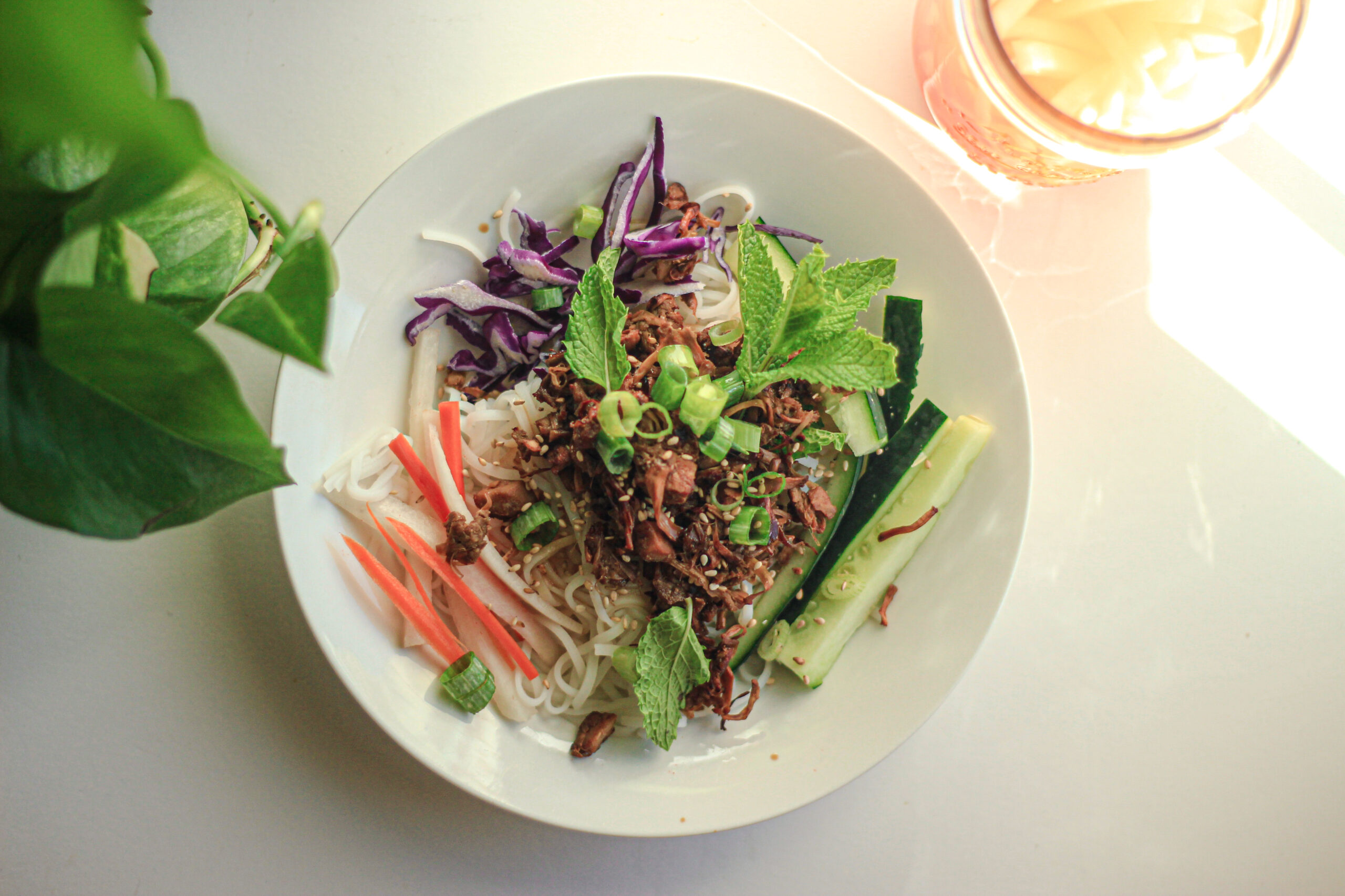 Vermicelli Vegan Recipe (allergen free)-Plant Fulfilled